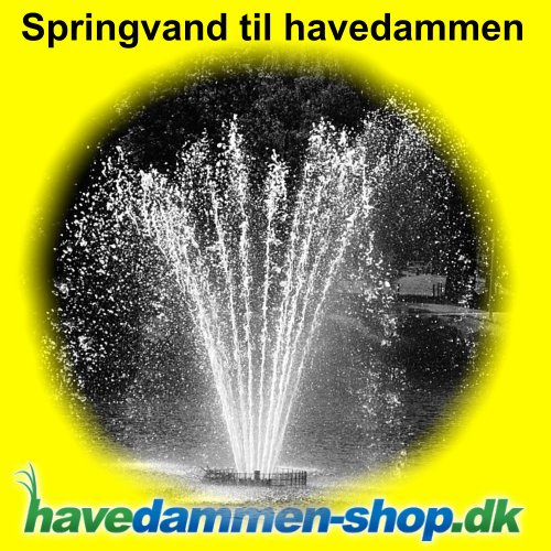 Springvand til haven eller havedam, gode springvandspumper